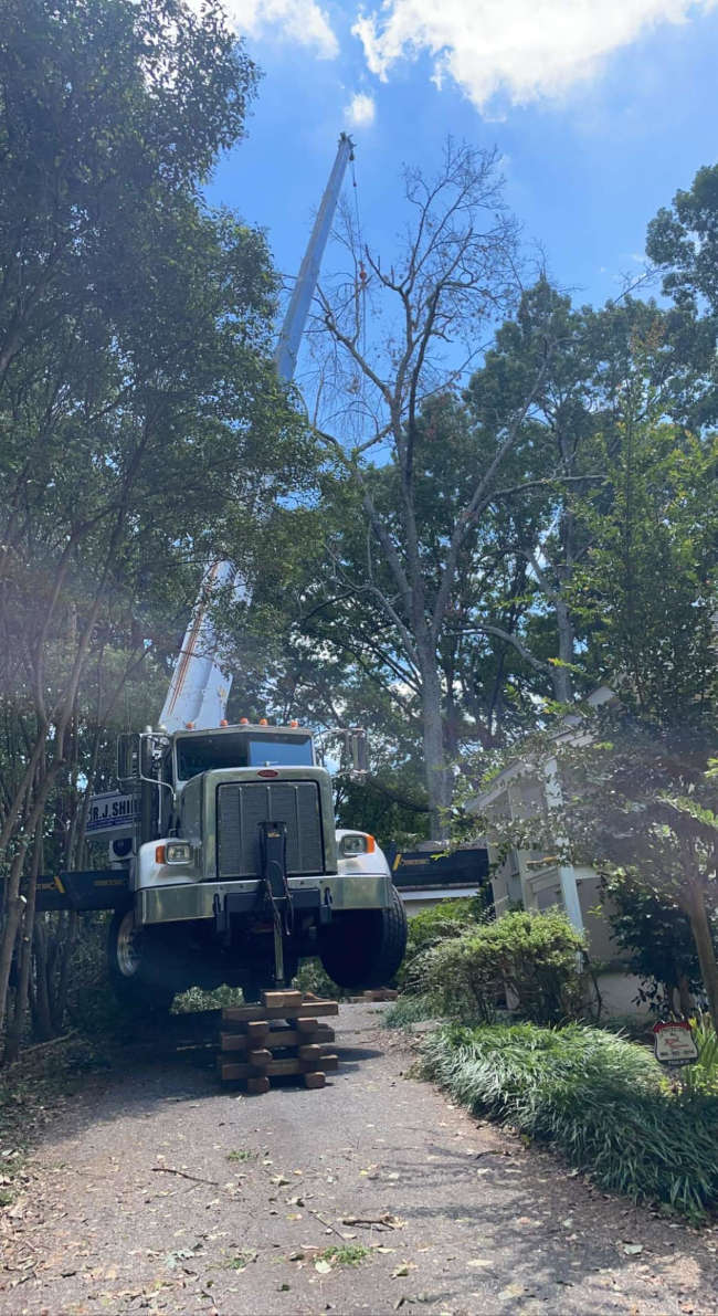 Residential Tree Services, Spartanburg, SC | D & A Tree Surgeons LLC