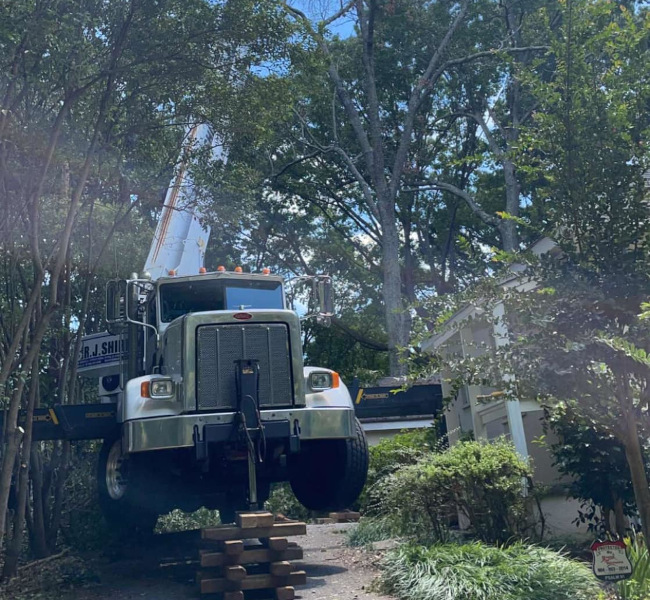 Residential Tree Services, Arcadia | D & A Tree Surgeons LLC